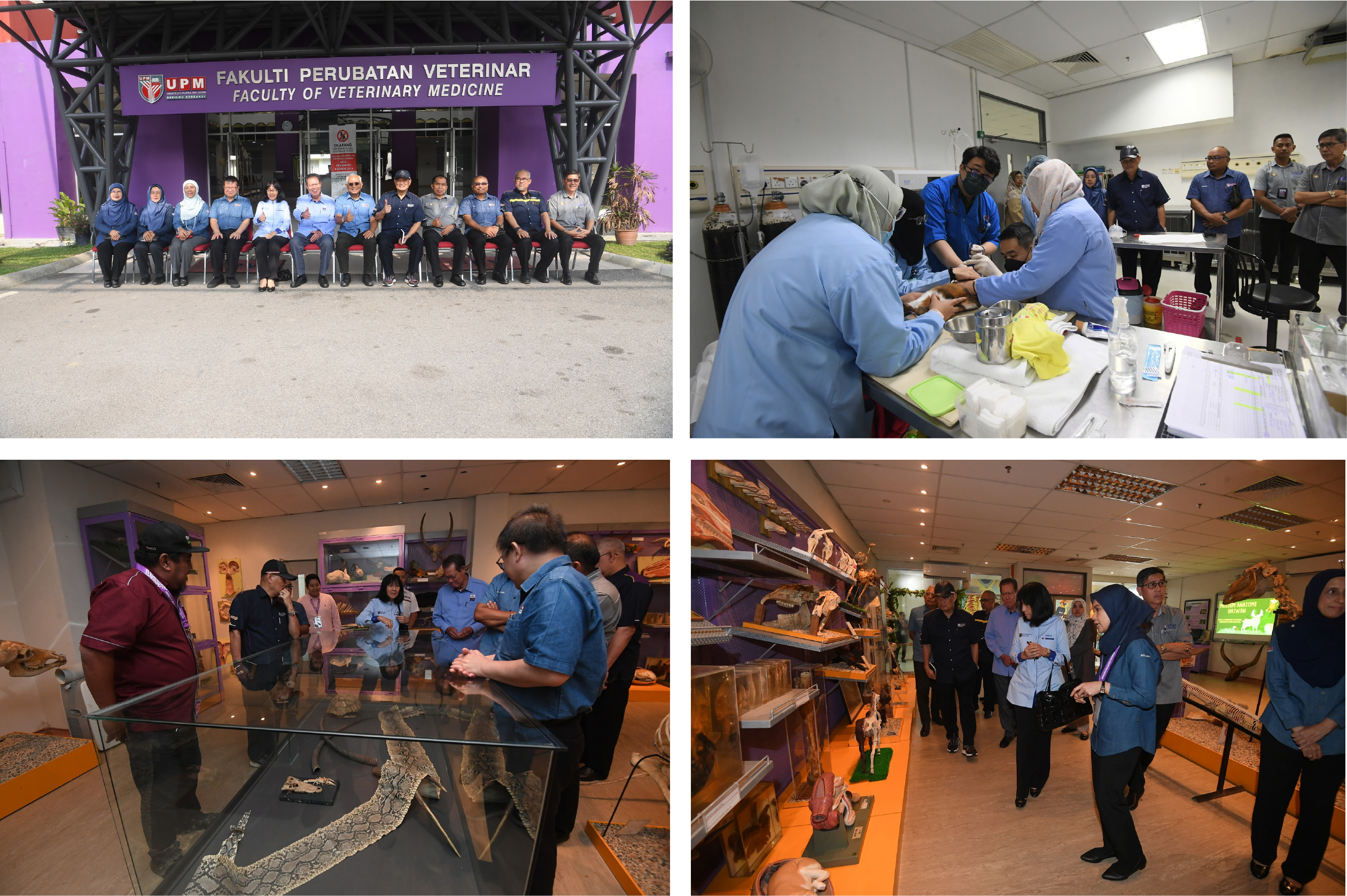 "The facilities at the University Veterinary Hospital, FPV UPM, are ...